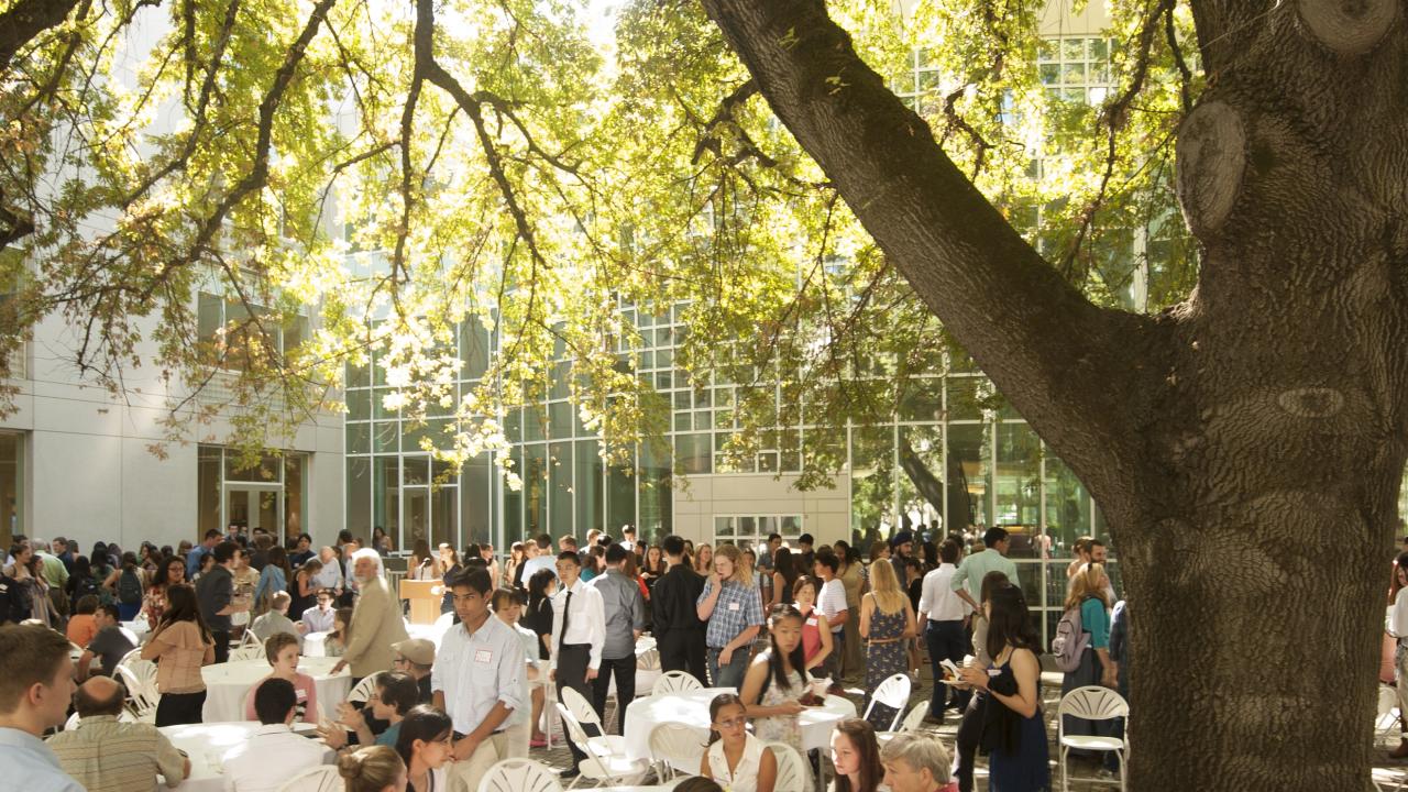 UHP Admissions | University Honors Program